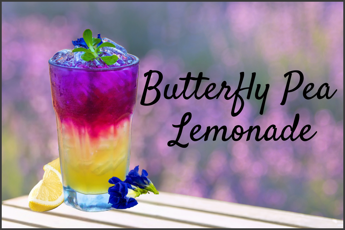 Butterfly Pea Lemonade – True Leaf Tea