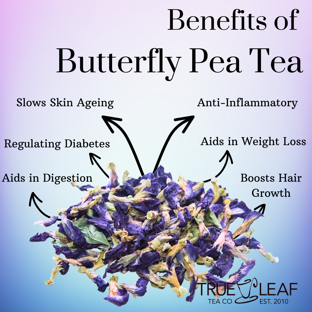 Organic Butterfly Pea - 4 oz – True Leaf Tea