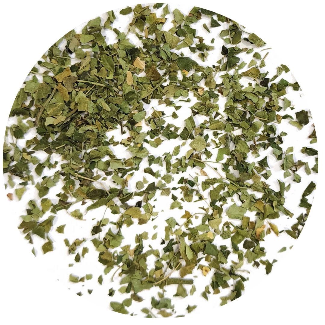 Organic Moringa - 4 oz – True Leaf Tea