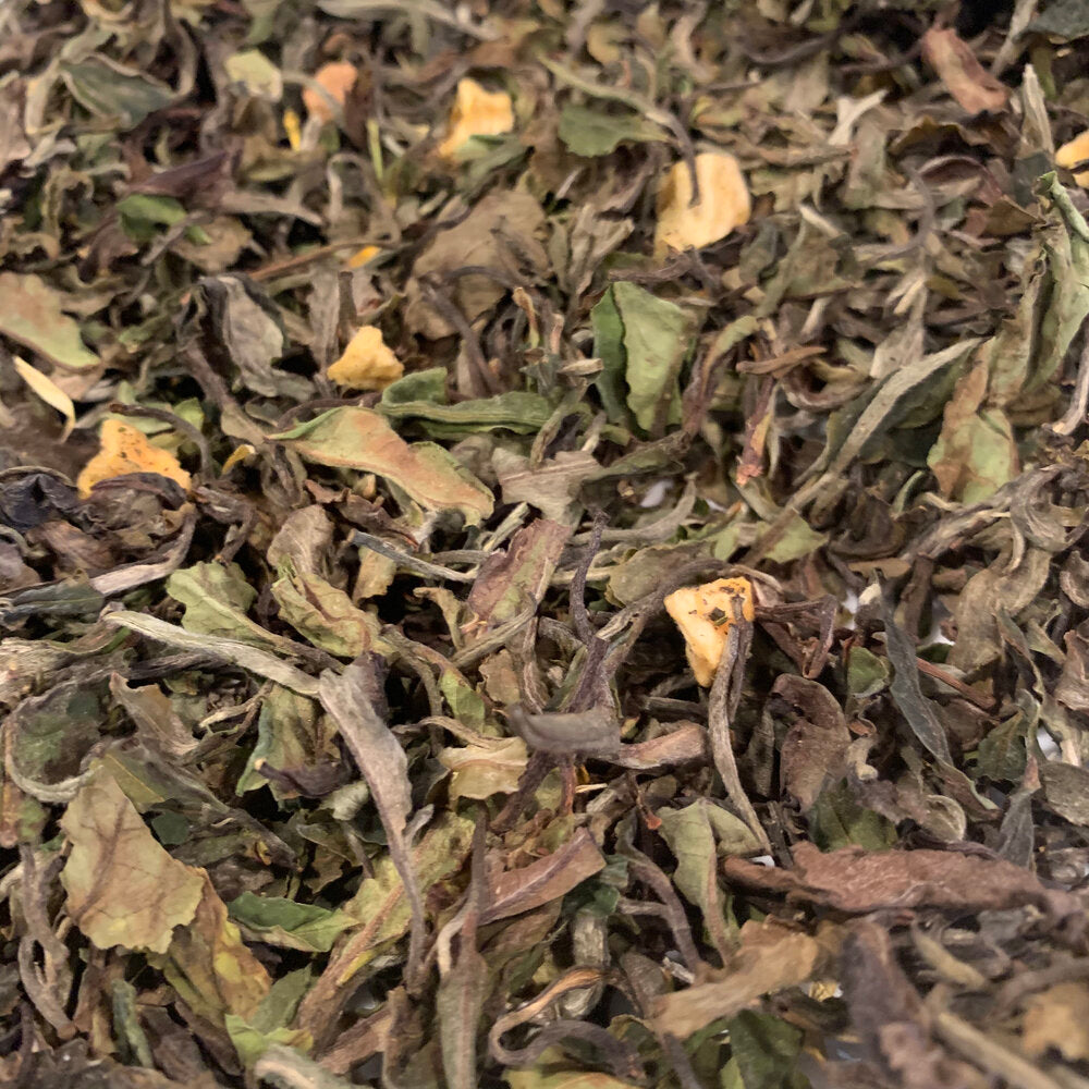 Organic White Mango Pear – True Leaf Tea